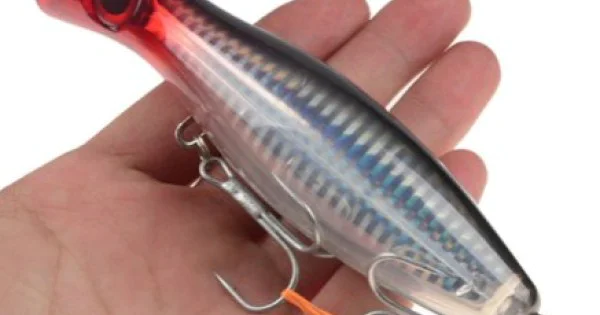 Big Popper 120 - Cor 01